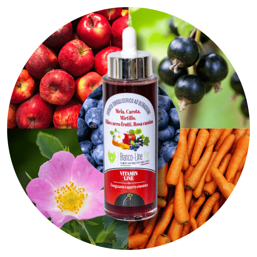 Estratto Idroglicerico Vitamin Line - Vitamine Dieta del Cane
